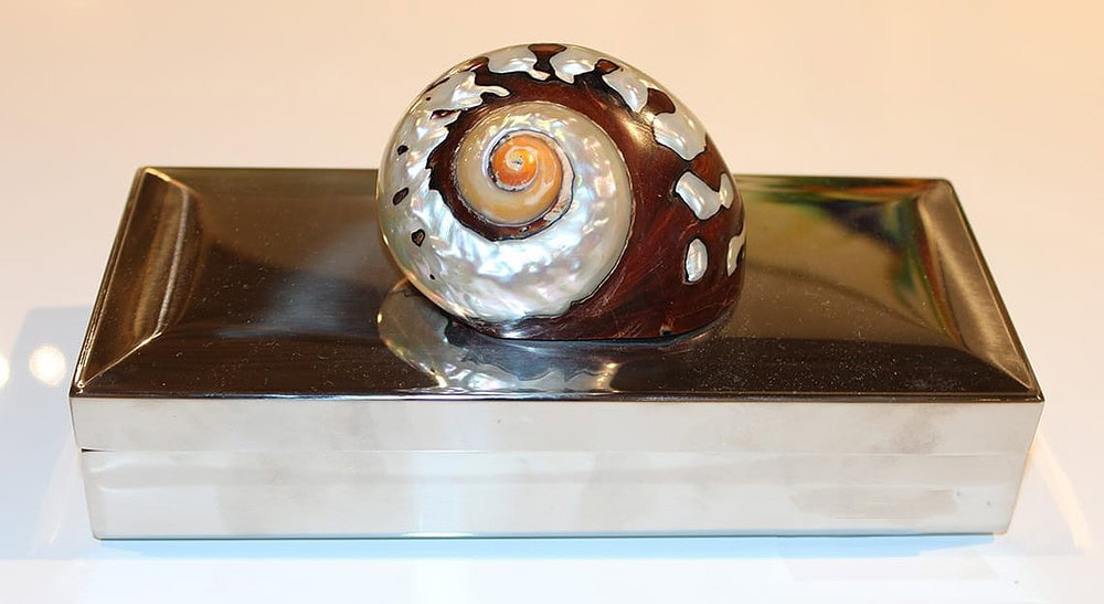Shell Boxes | Decorative Coastal Shells